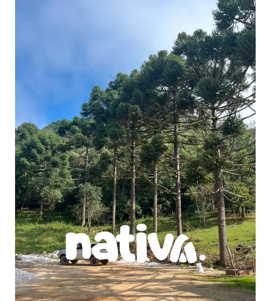 Rota Verde Stone Casa: Projetos Sustentáveis para Transformar ...