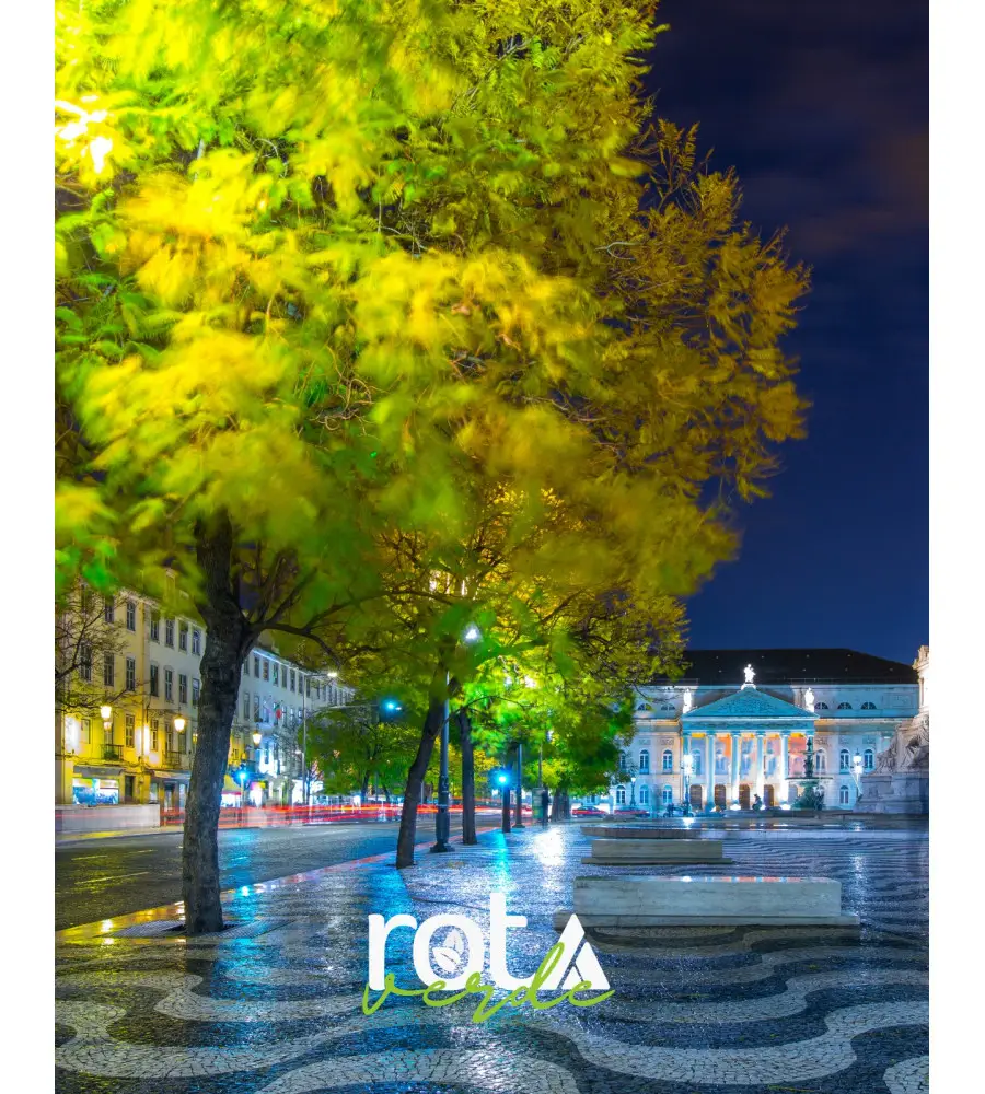 Rota Verde Stone Casa: Projetos Sustentáveis para Transformar ...